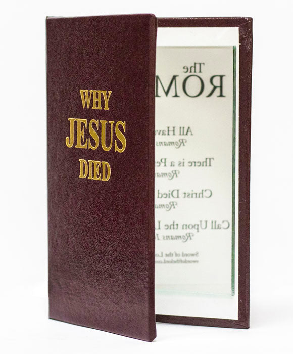 Why Jesus Died Mirror Book – Sword of the Lord Publications